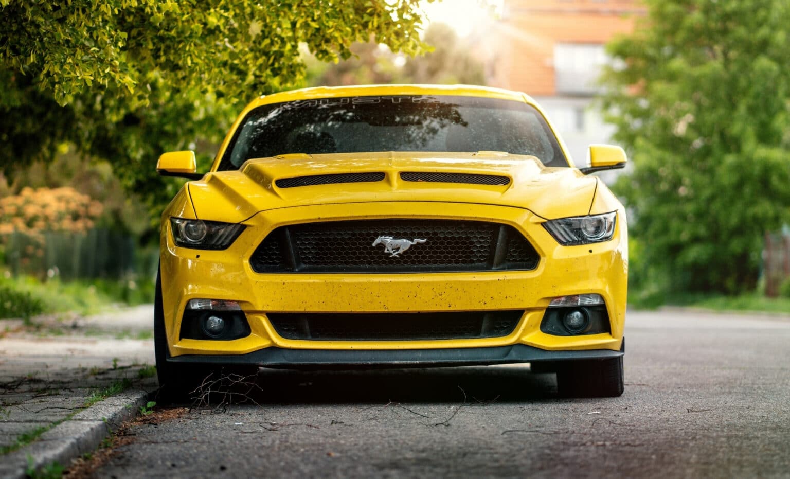 Ford Brings Back the Fiesta as an EV in 2028 — Built by Renault in ...