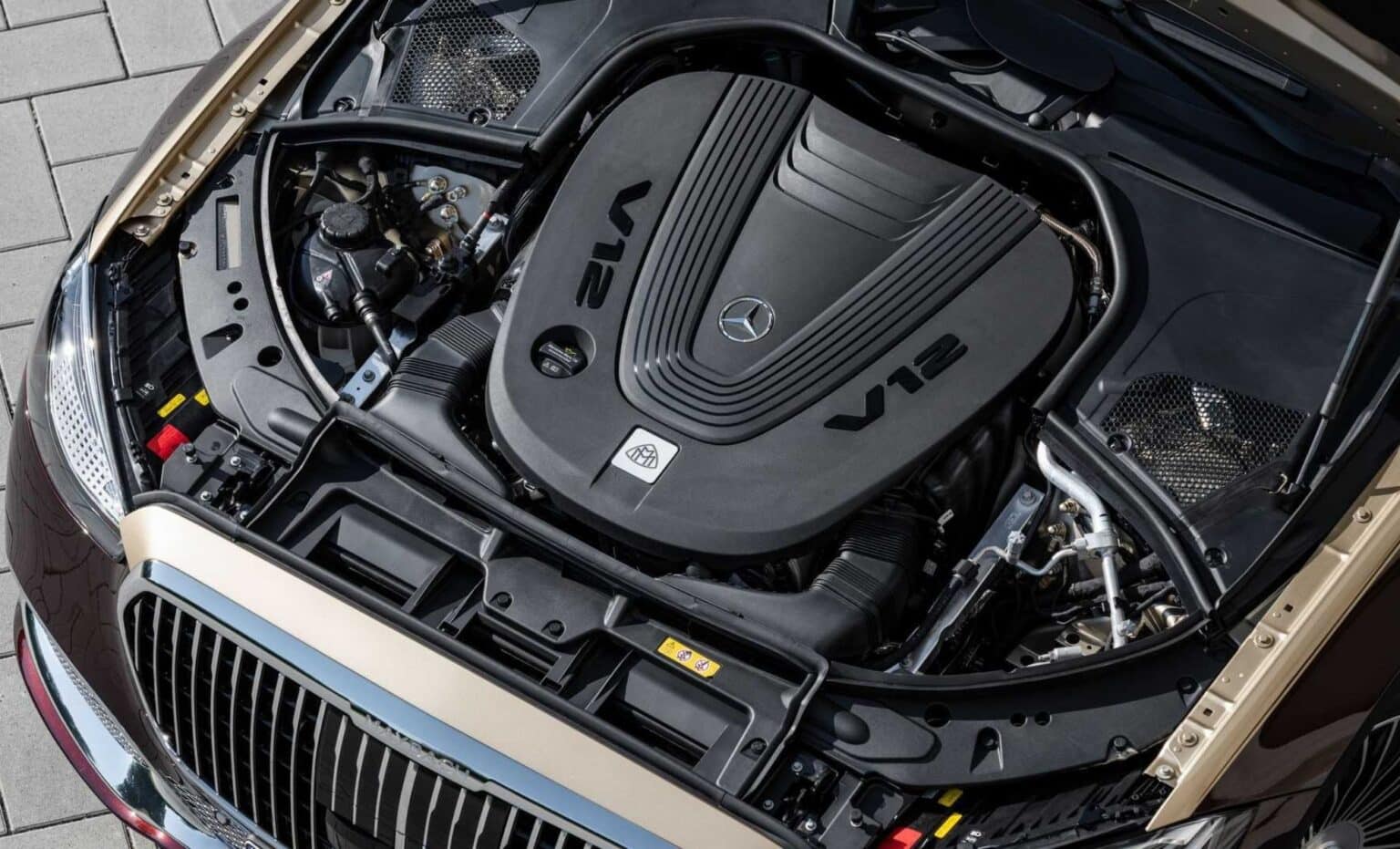 5 Great Cars for Obese and Overweight Drivers